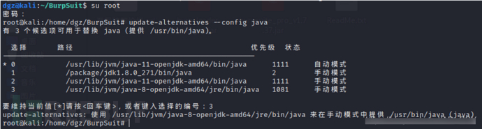 Kali Linux下无法启动BurpSuit pro的一个解决办法 - FreeBuf网络安全行业门户