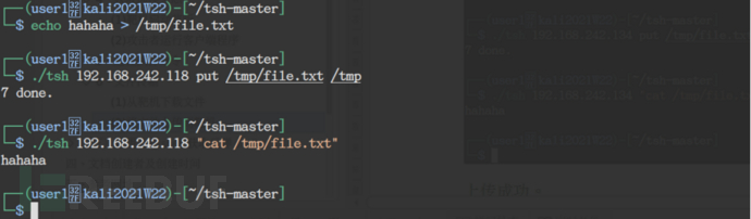 Linux系统使用tiny shell（tsh）进行远程控制和传输文件 - FreeBuf网络安全行业门户