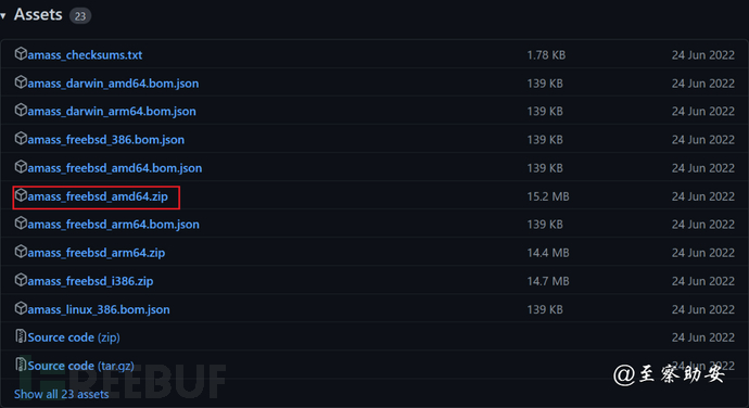 Amass信息收集神器使用指南 - FreeBuf网络安全行业门户