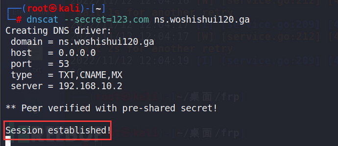 一文学会DNS隧道搭建 - FreeBuf网络安全行业门户
