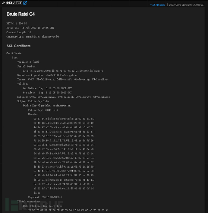 渗透测试之狩猎Brute Ratel C4 - FreeBuf网络安全行业门户