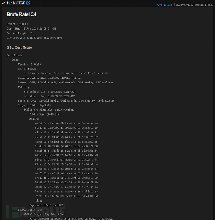 渗透测试之狩猎Brute Ratel C4 - FreeBuf网络安全行业门户