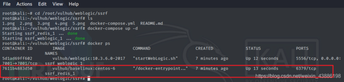 kali docker无法启动Redis_ (vulhubweblogicssrf)，JBoss(jbossCVE-2017-12149)无法启动环境 - FreeBuf网络安全行业门户