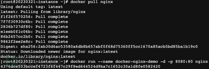玩转服务器之Docker篇：10分钟学会搭建 Docker 环境 - FreeBuf网络安全行业门户