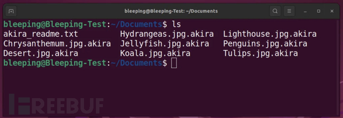 注意！Akira勒索软件的Linux版本针对VMware ESXi服务器 - FreeBuf网络安全行业门户