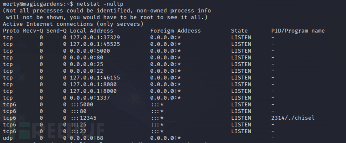 HACK THE BOX HTB——Season 5 Week 5 MagicGardens Wri... - FreeBuf网络安全行业门户